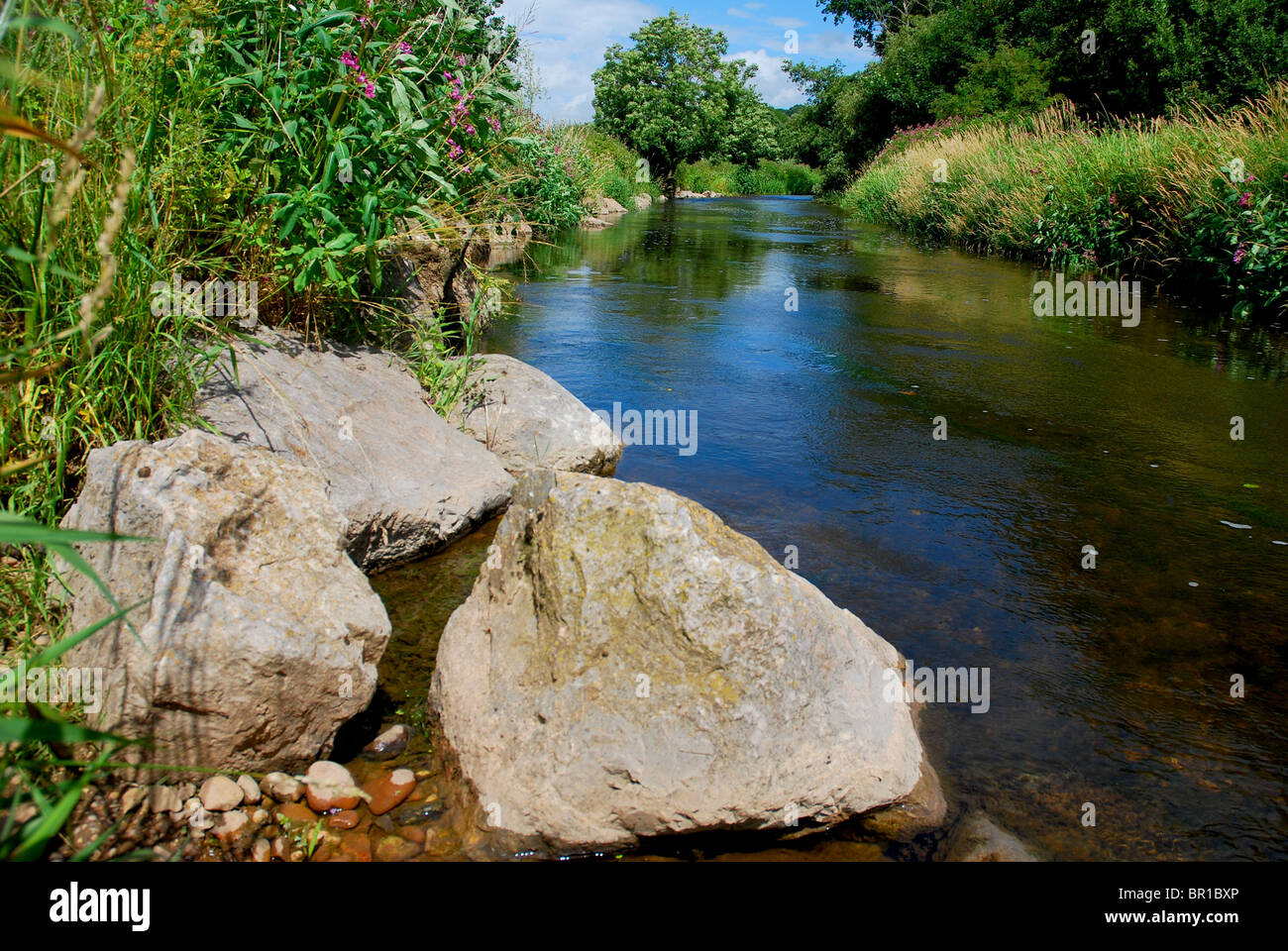 Otterton river - Devon - England Stock Photo - Alamy