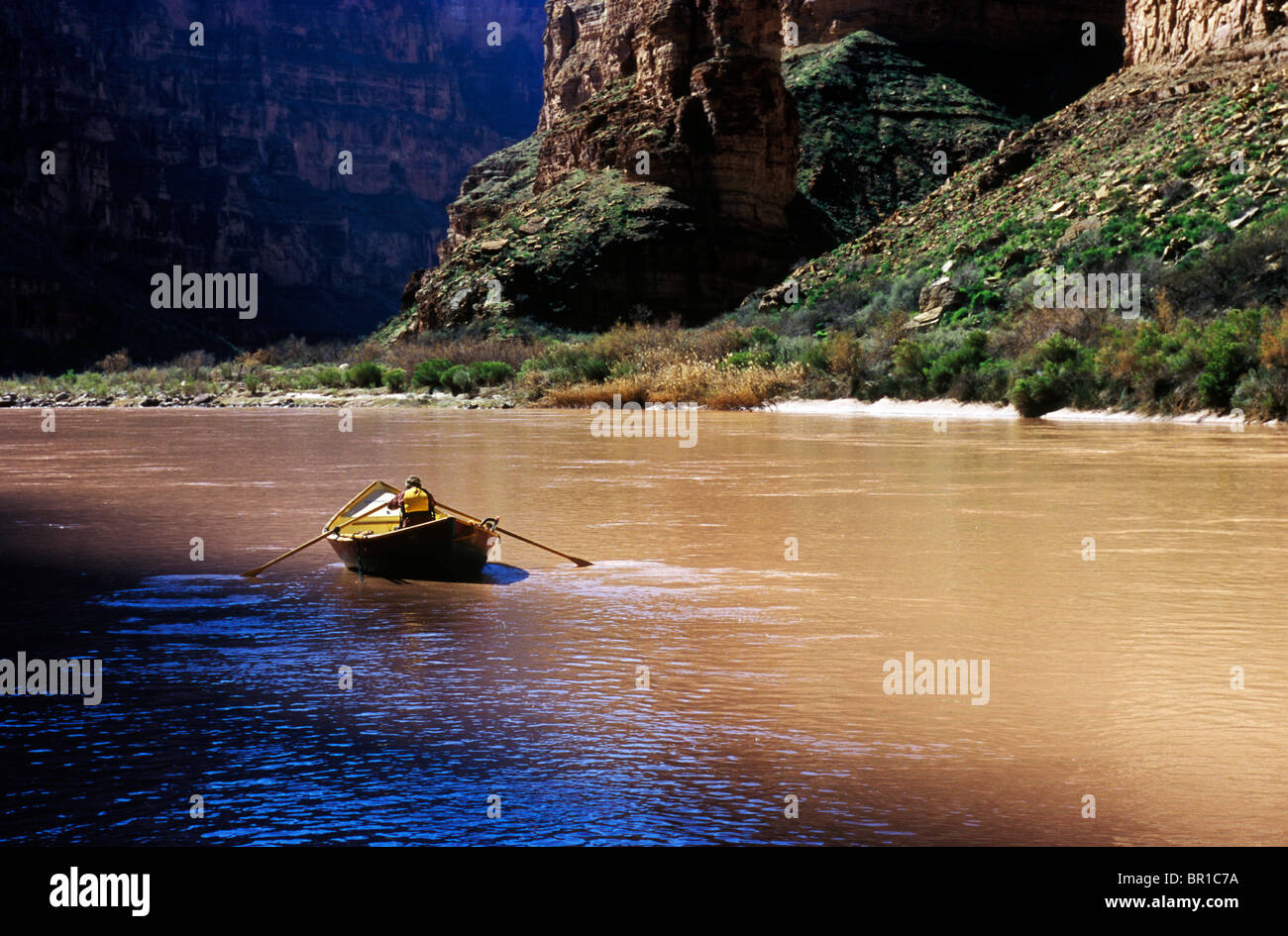 A river guide rowing a wooden dory downstream, Grand Canyon National ...