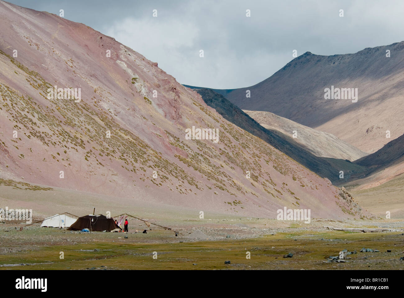 Nomad camp in Tibet Stock Photo - Alamy
