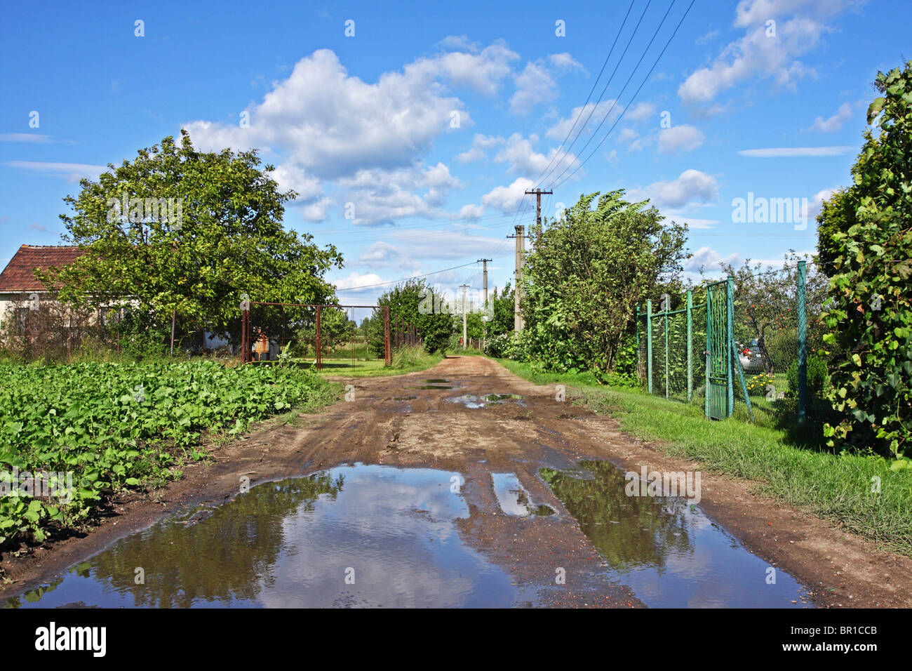 After puddle rain hi-res stock photography and images - Alamy