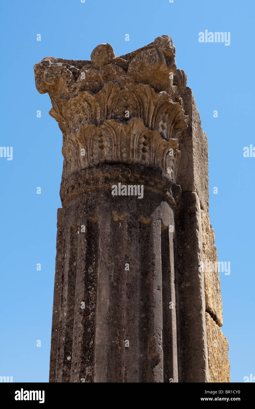 What Is Fluted Column at Della Harding blog