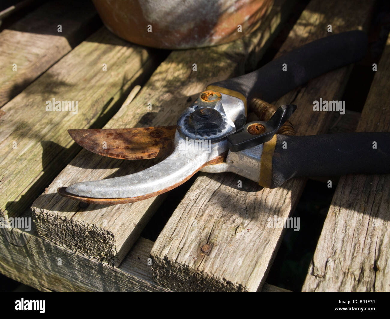 Secateurs used hi-res stock photography and images - Alamy
