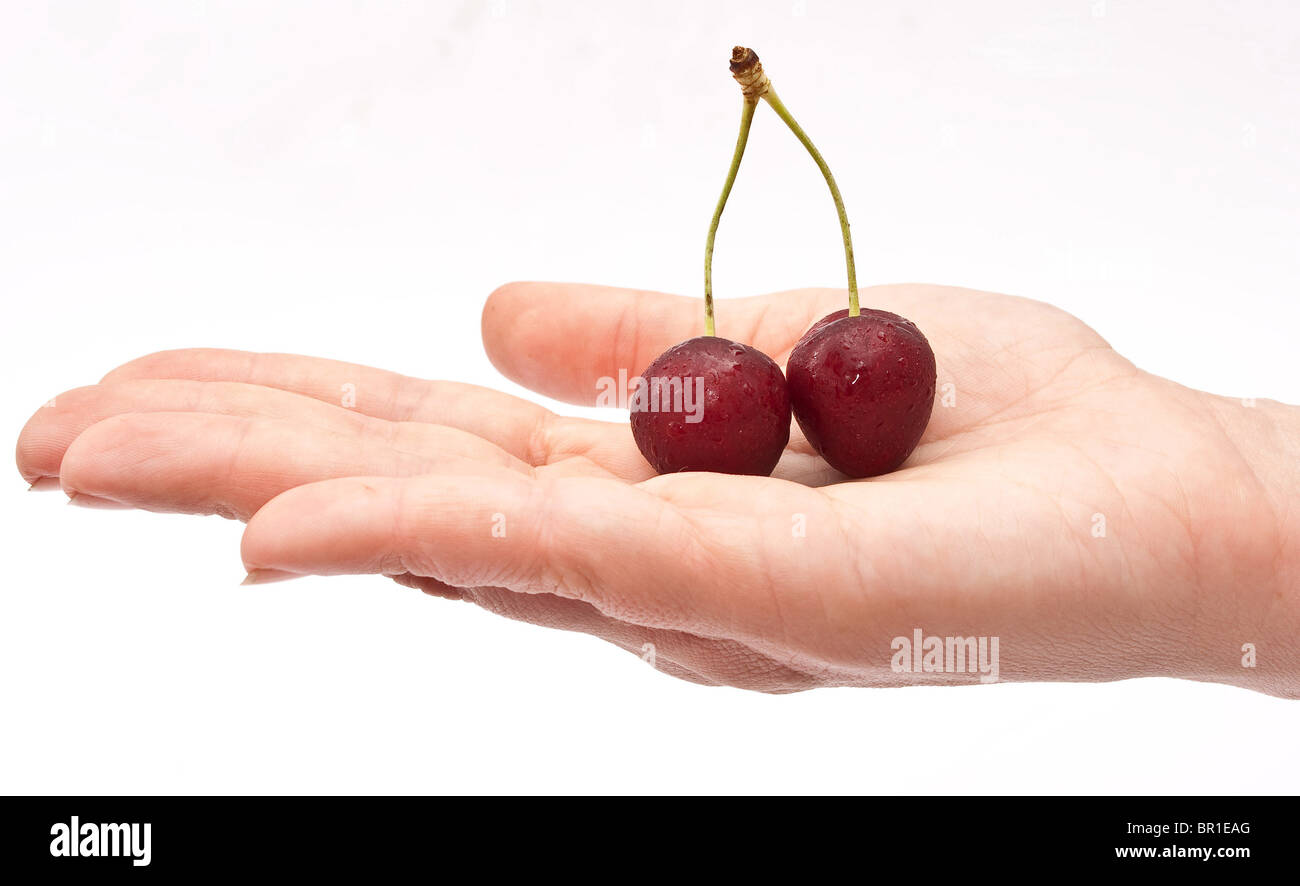 Hand holding red cherry Stock Photo - Alamy