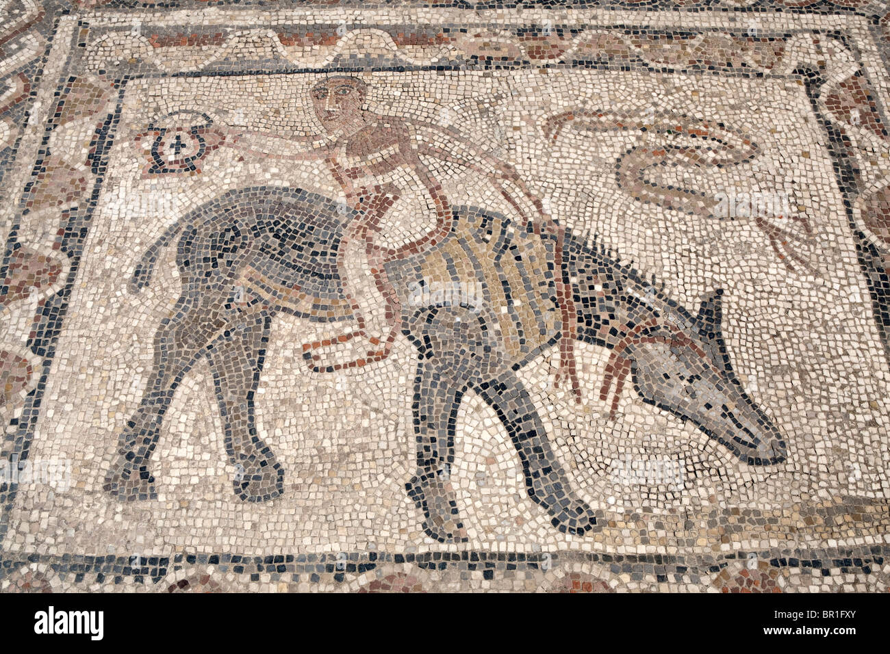 man on donkey mosaic, House of the Acrobat,Volubilis, roman town ...