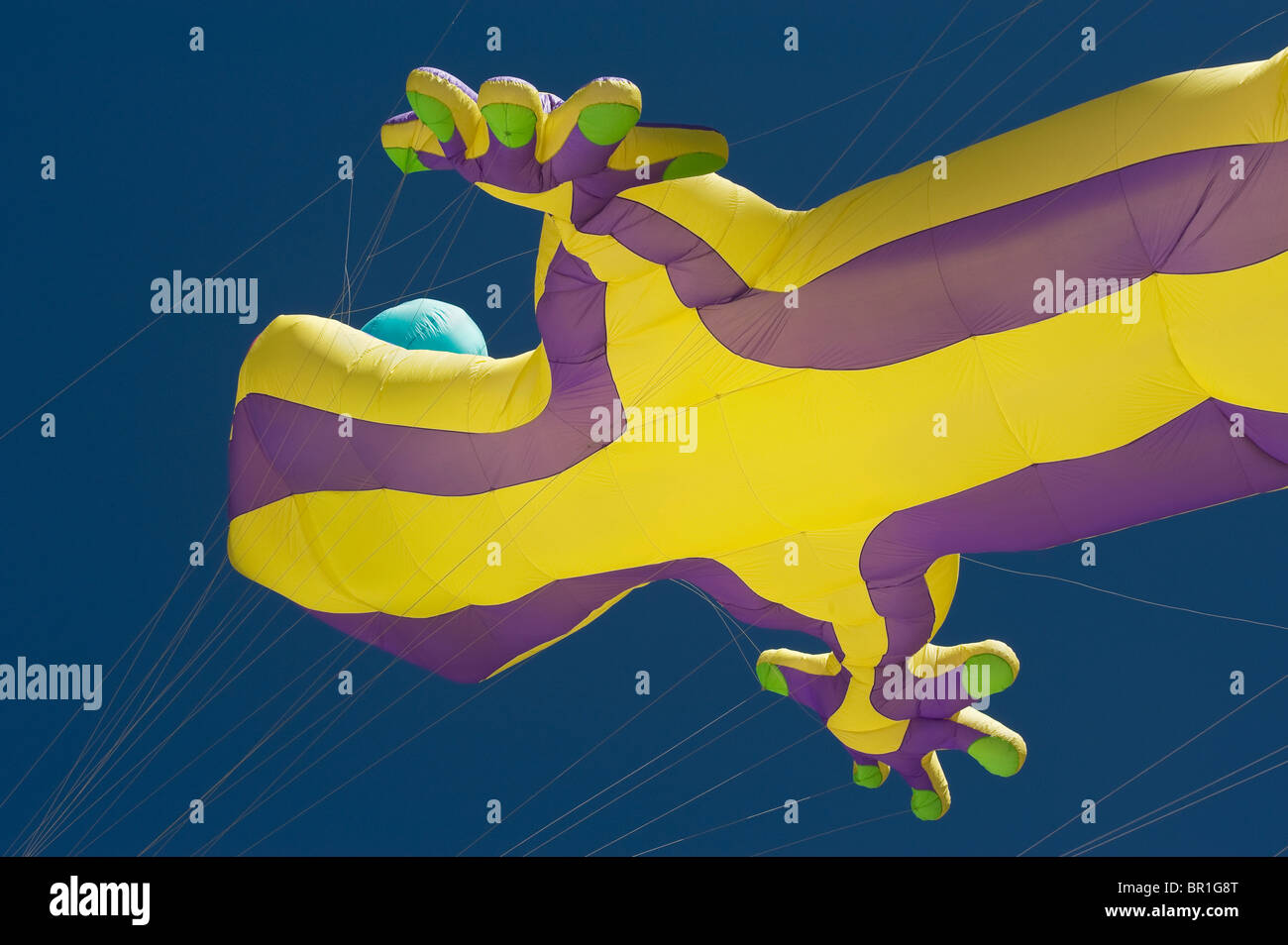 Italy Piedmont Turin Sauze d'Oulx a gecko-shaped kite on the wing Stock ...