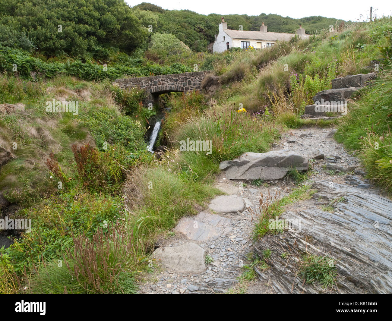 Trefin hi-res stock photography and images - Alamy