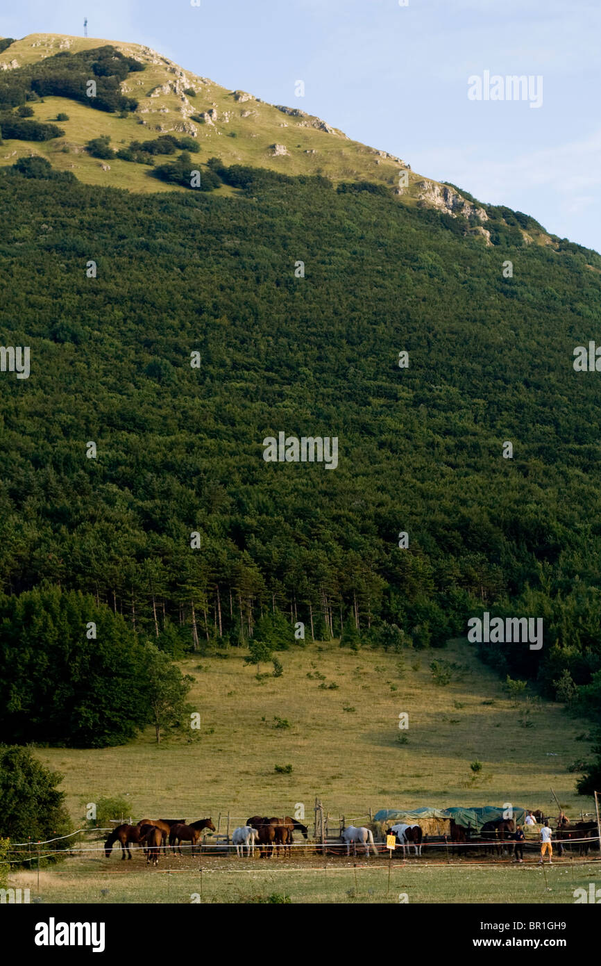 Peak of the horse ranch mountain hi-res stock photography and images ...
