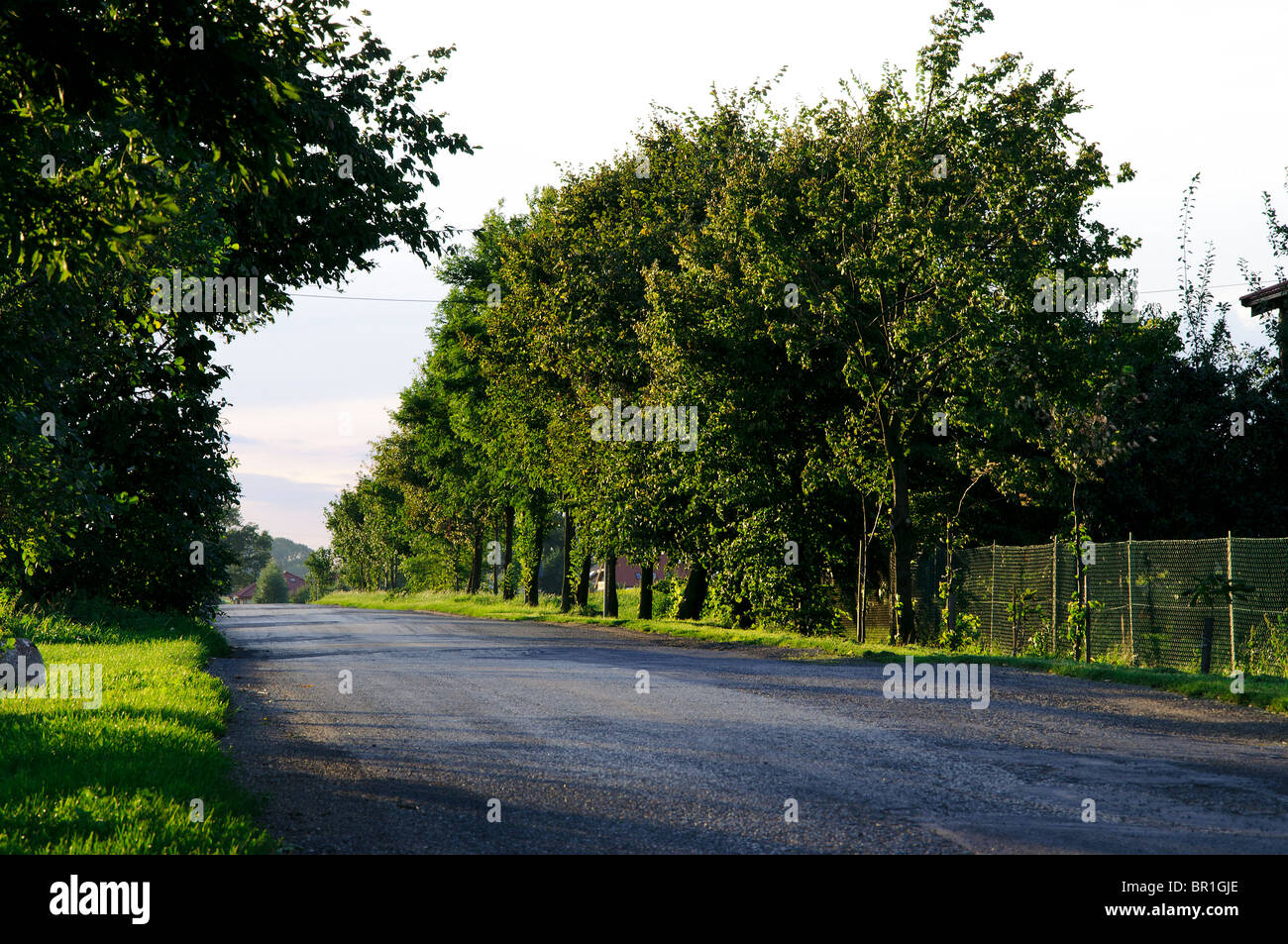 Side trees next hi-res stock photography and images - Alamy