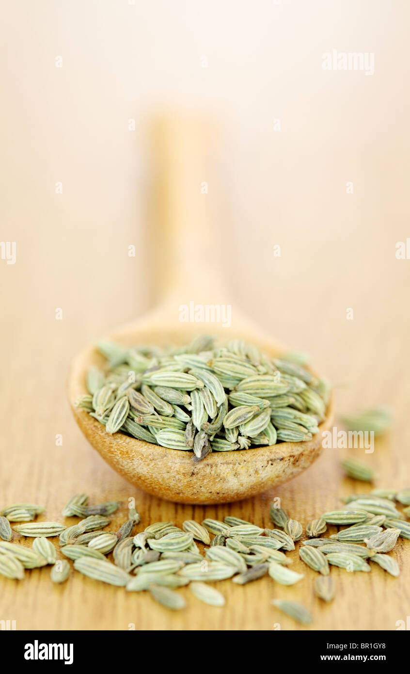 Dry fennel seeds hi-res stock photography and images - Alamy