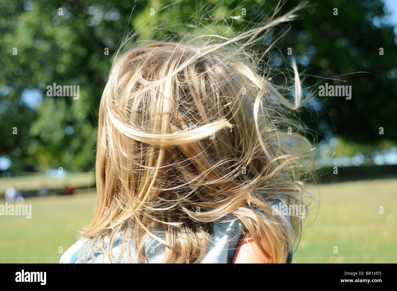 girl facing away with blond hair blowing in the wind Stock Photo - Alamy