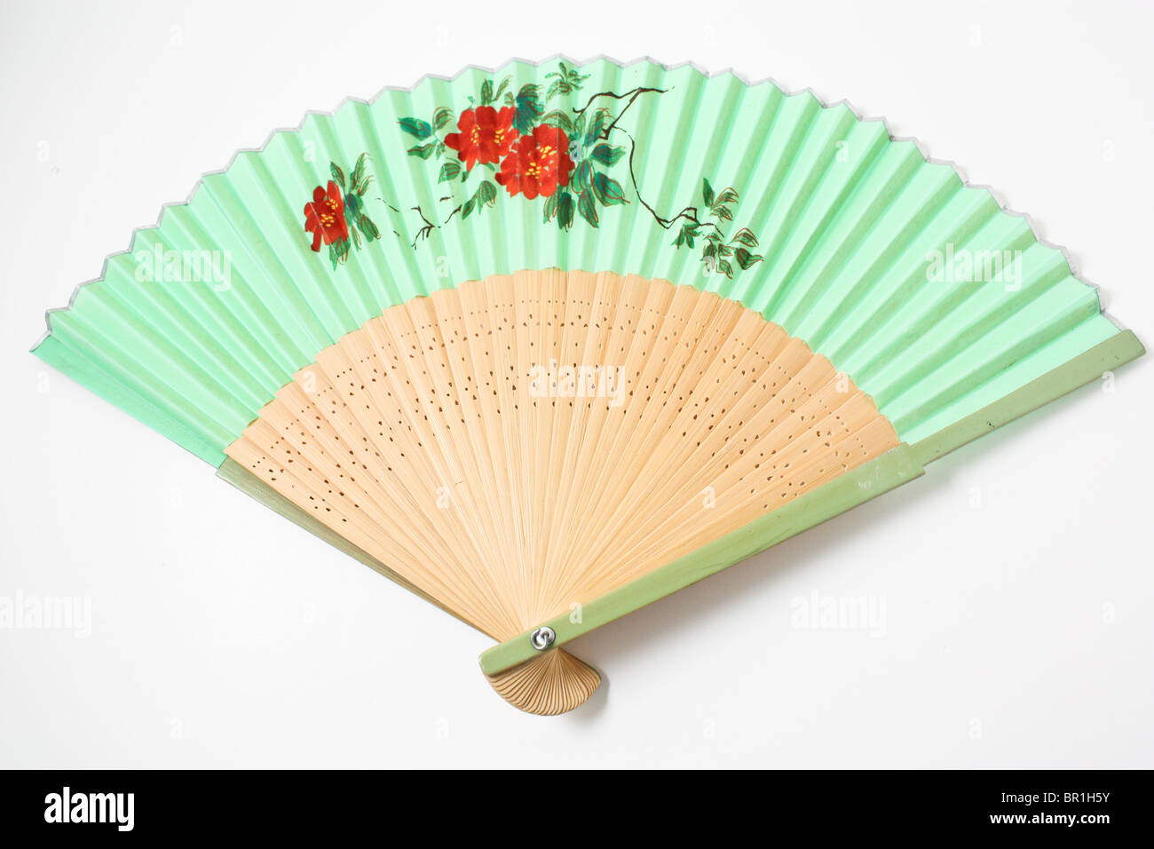 green chinese fan flower Stock Photo - Alamy