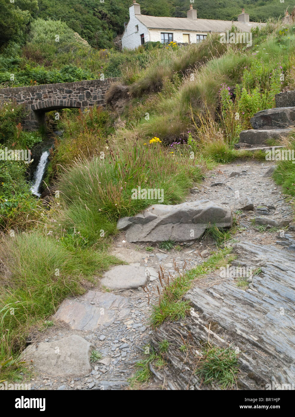 Trefin hi-res stock photography and images - Alamy