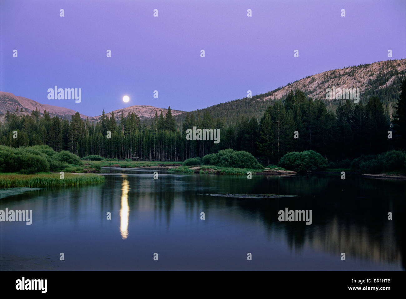Landscape, Full Moon rising in Tuolumne Meadows, Yosemite Stock Photo ...
