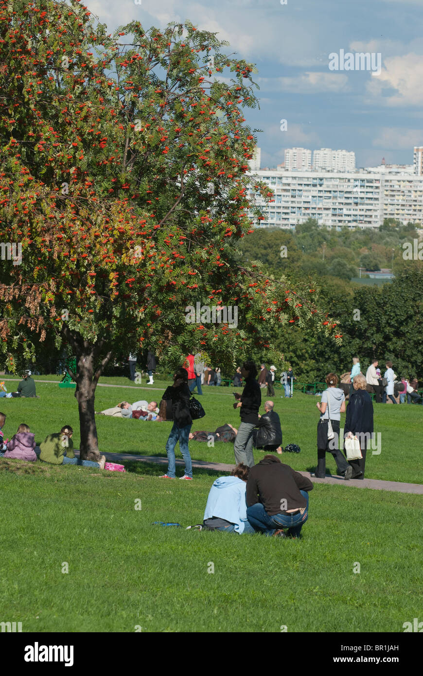 Pockmark hi-res stock photography and images - Alamy