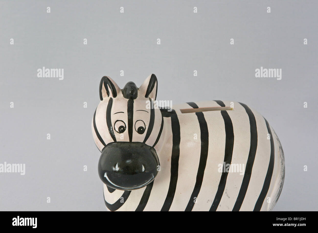 Still life zebra bank Stock Photo - Alamy