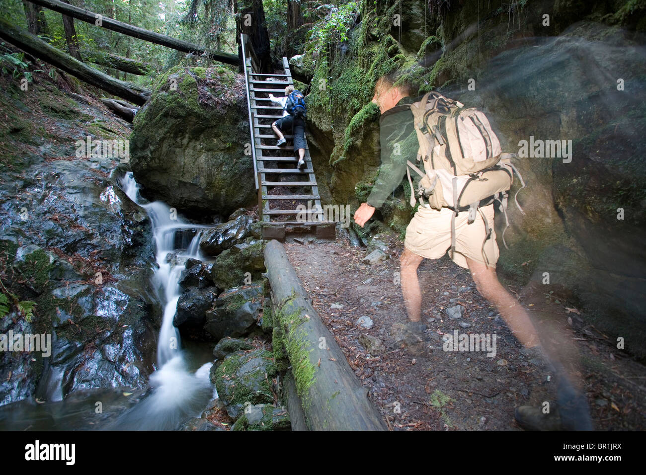 Steep ravine trail california hi-res stock photography and images - Alamy