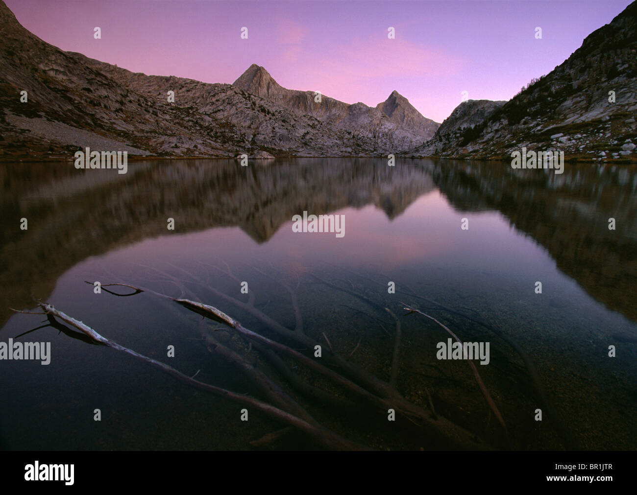 A dead tree forms an erie skeleton partially submerged in Evolution ...