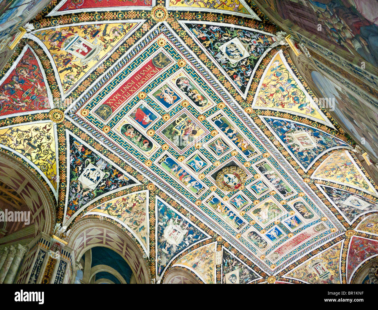 The ceiling of the Libreria Piccolominea inside the Siena cathedral in ...