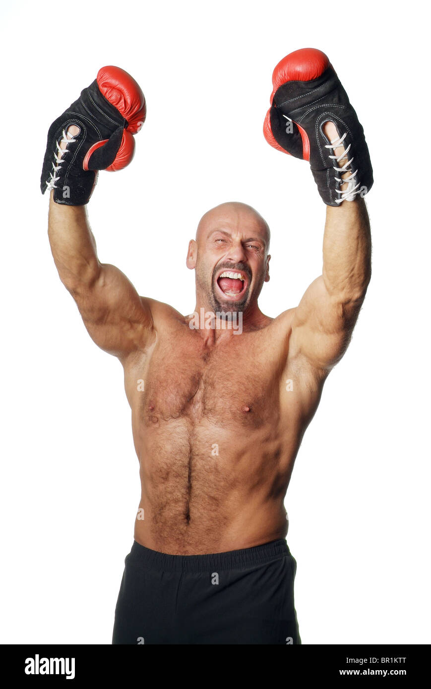 A victorious boxer Stock Photo - Alamy