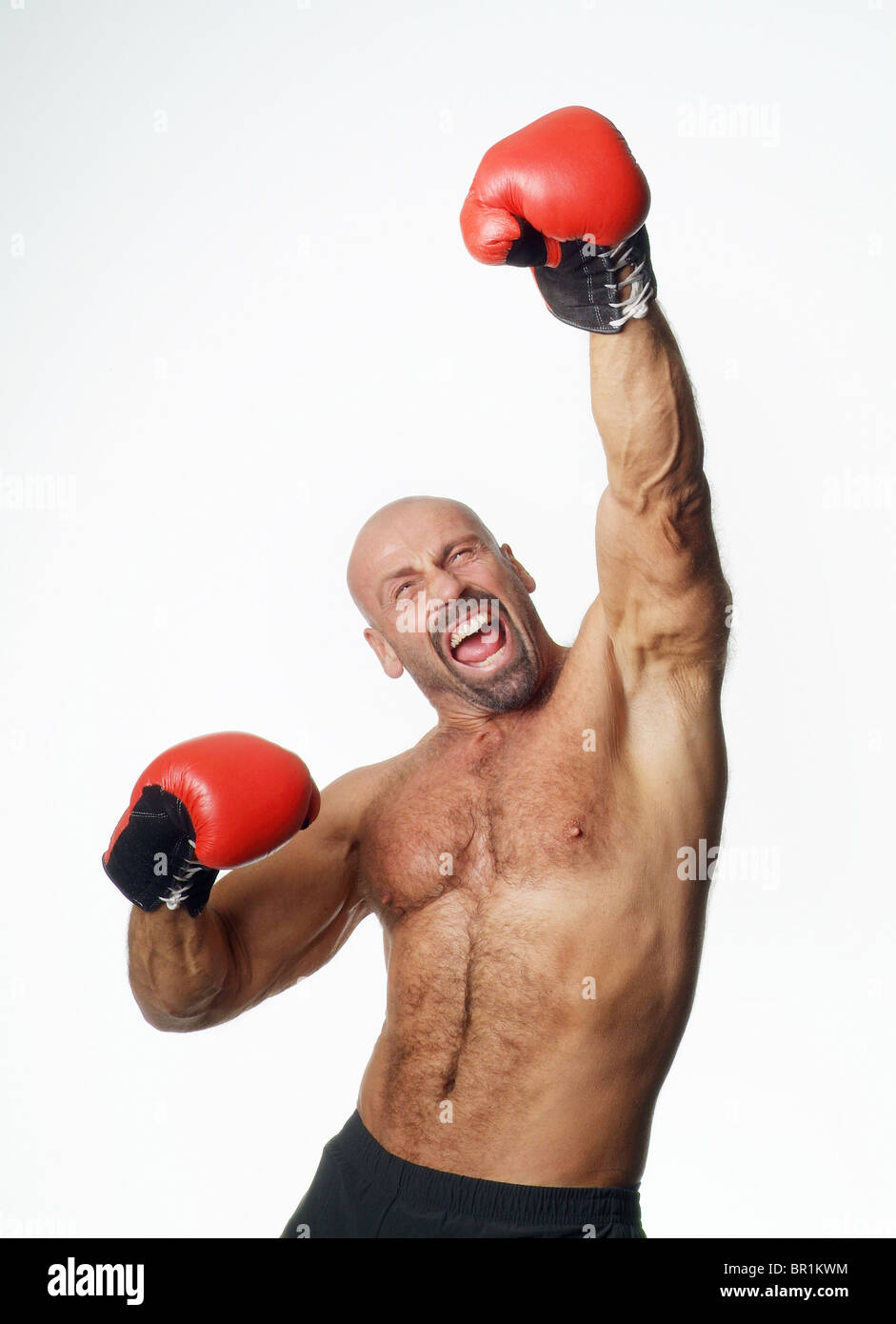 A victorious boxer Stock Photo - Alamy