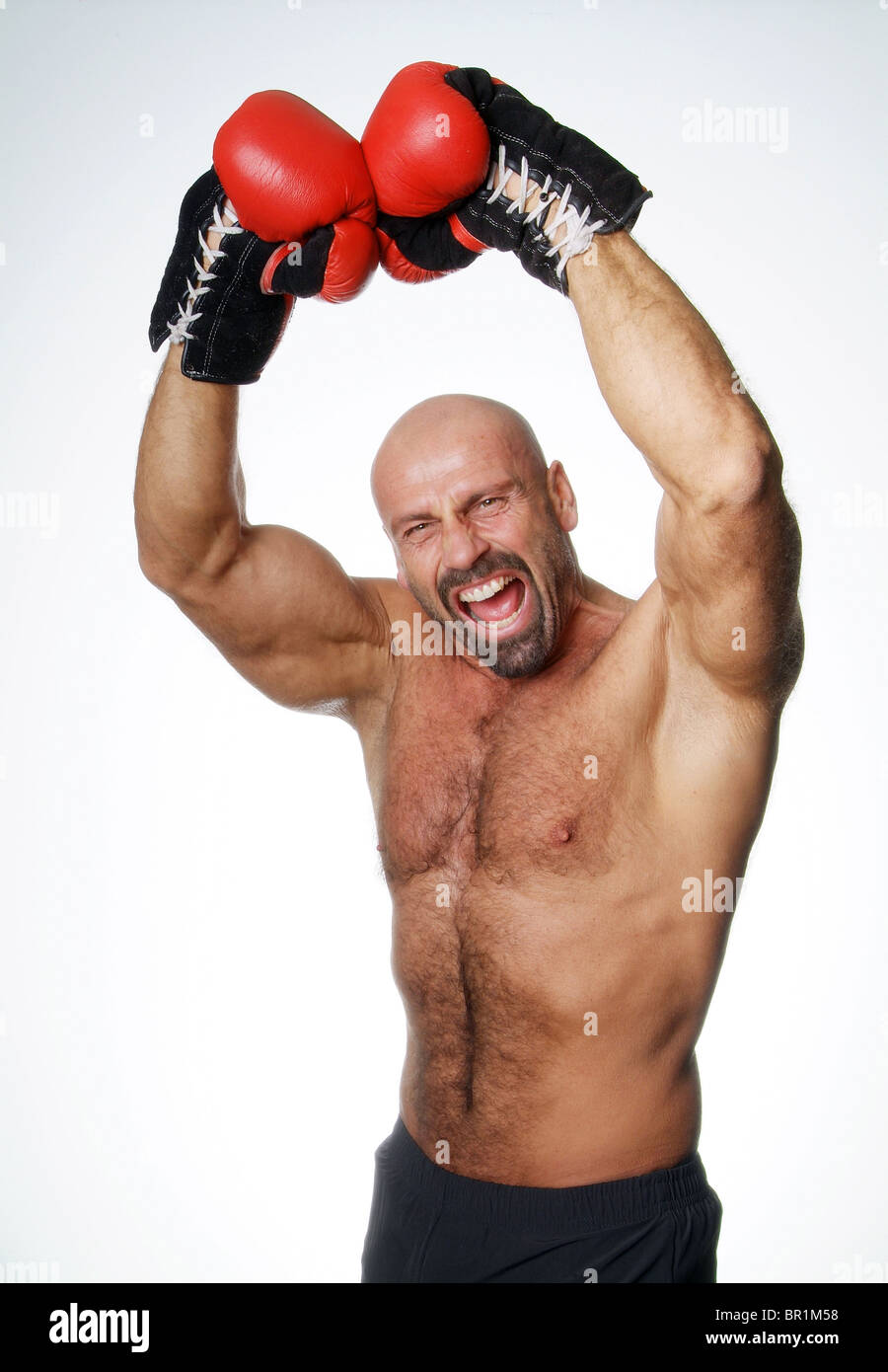 A victorious boxer Stock Photo - Alamy