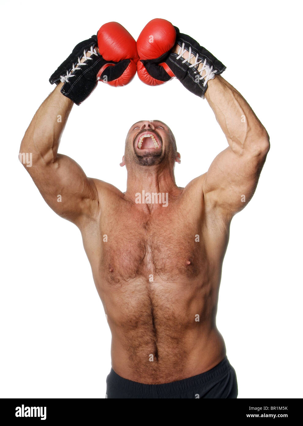 A victorious boxer Stock Photo - Alamy