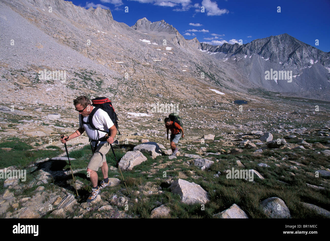 Two hikers trekking through an alpine meadow in eastern Sierra Nevada ...