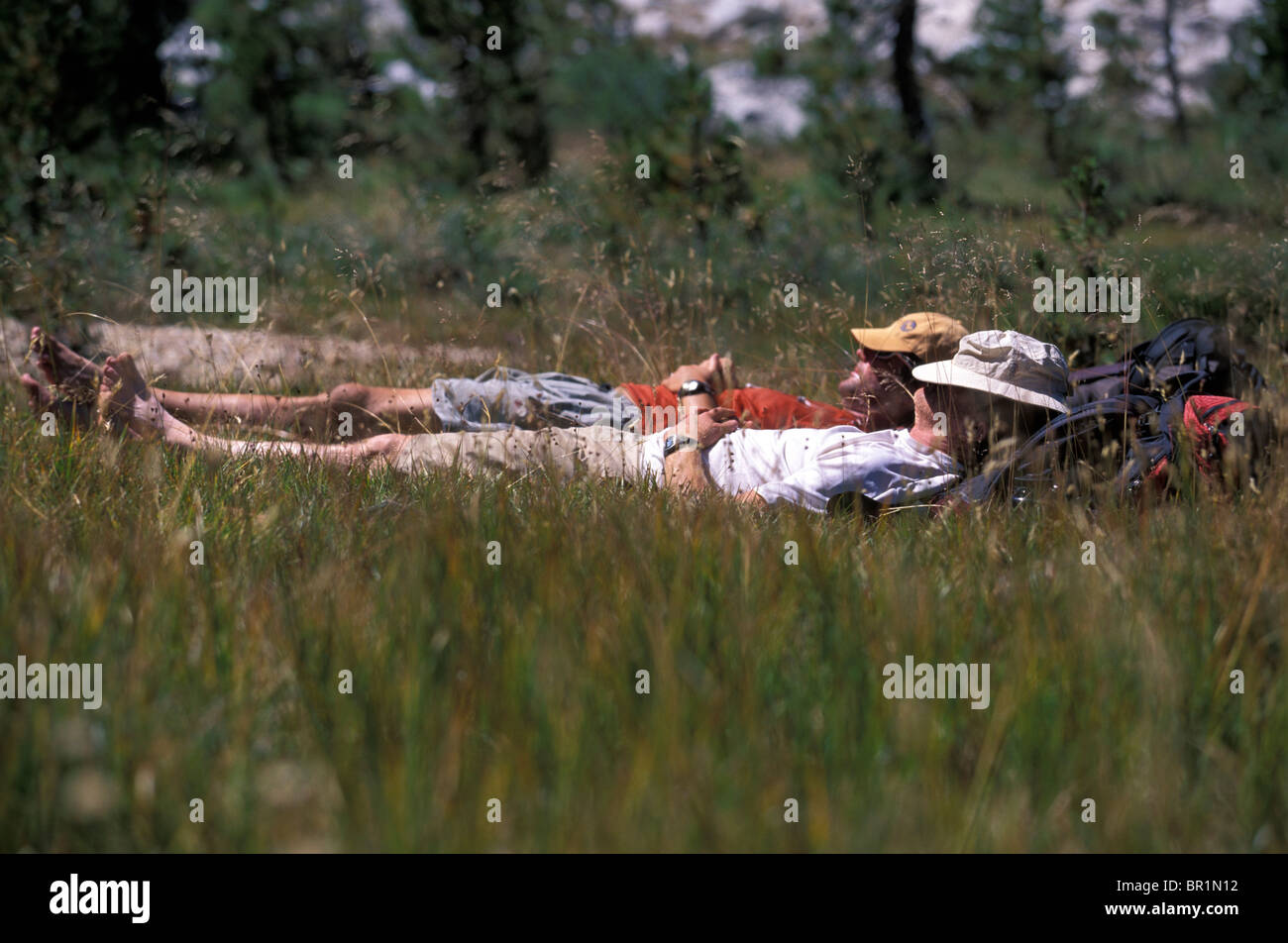 Two hikers laying down and relaxing in an alpine meadow in eastern ...