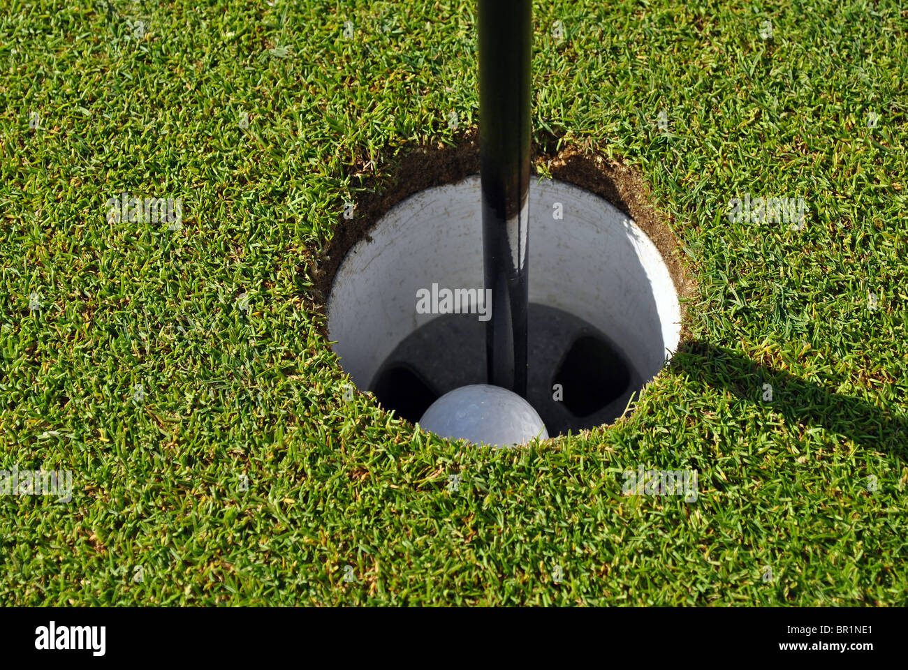 golf ball in the cup Stock Photo - Alamy