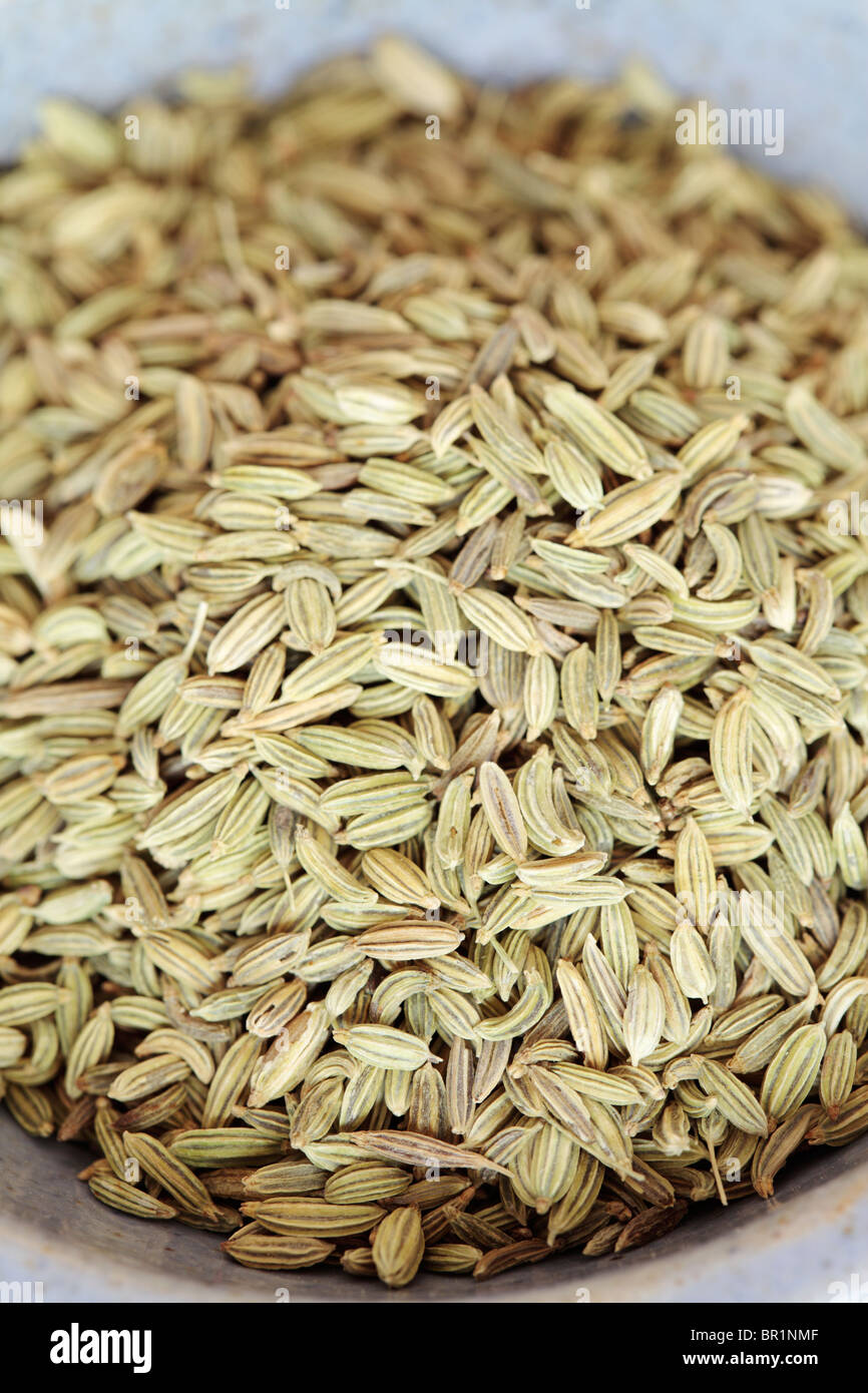 Fennel bowl hi-res stock photography and images - Alamy
