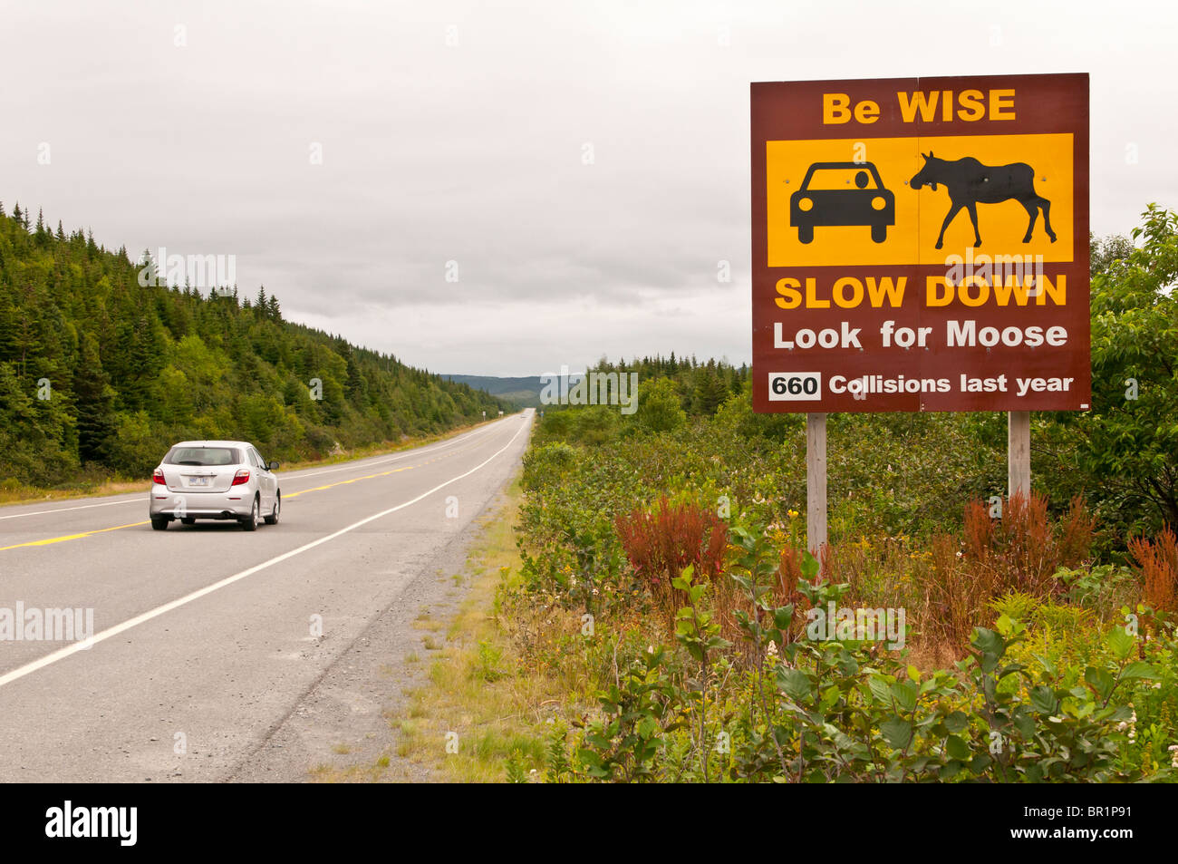 Be Wise Slow Down Look for Moose, road sign, Highway 100, Avalon ...