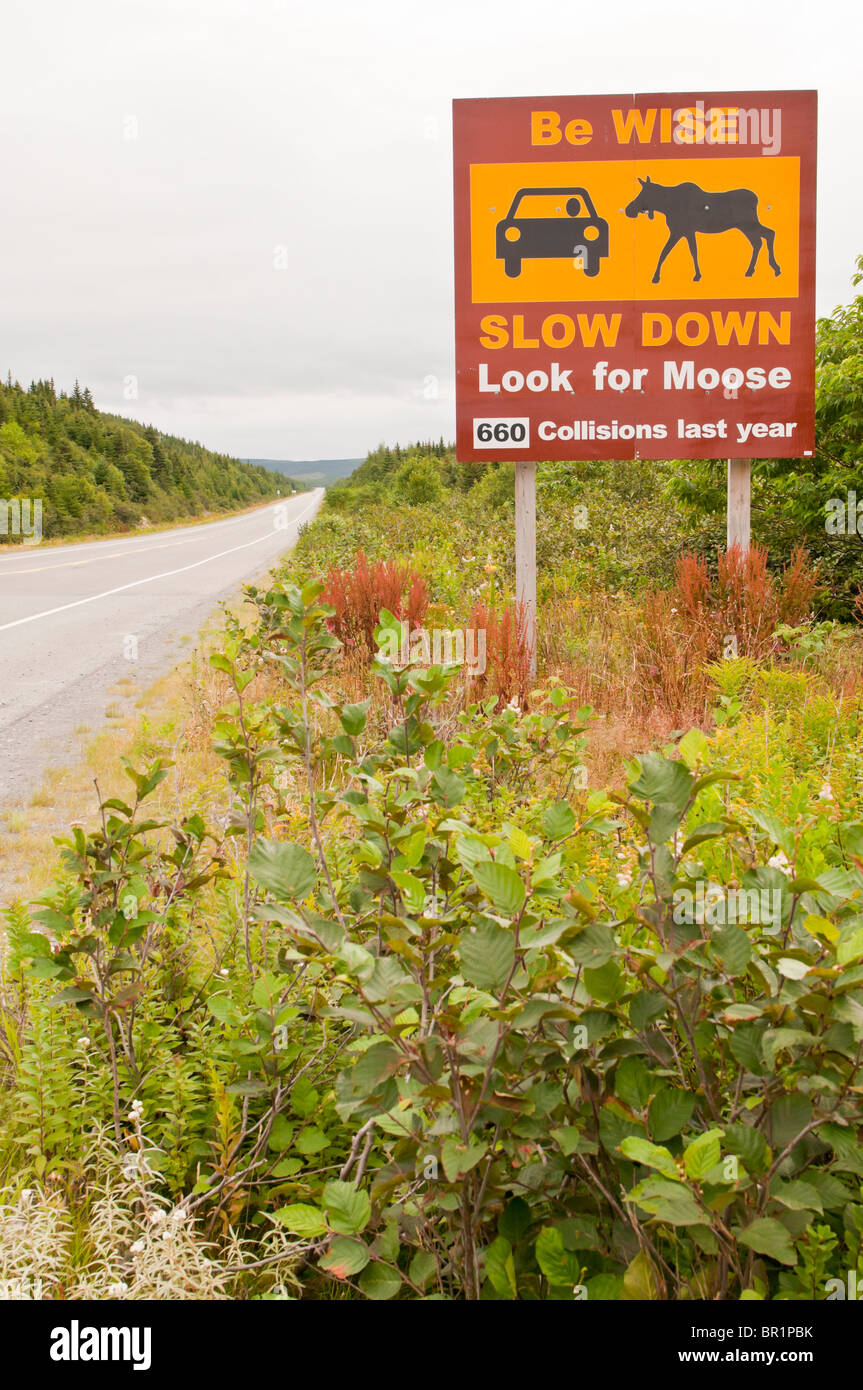 Be Wise Slow Down Look for Moose, road sign, Highway 100, Avalon ...