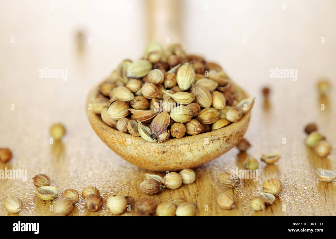 Pile coriander seeds coriandrum hi-res stock photography and images - Alamy
