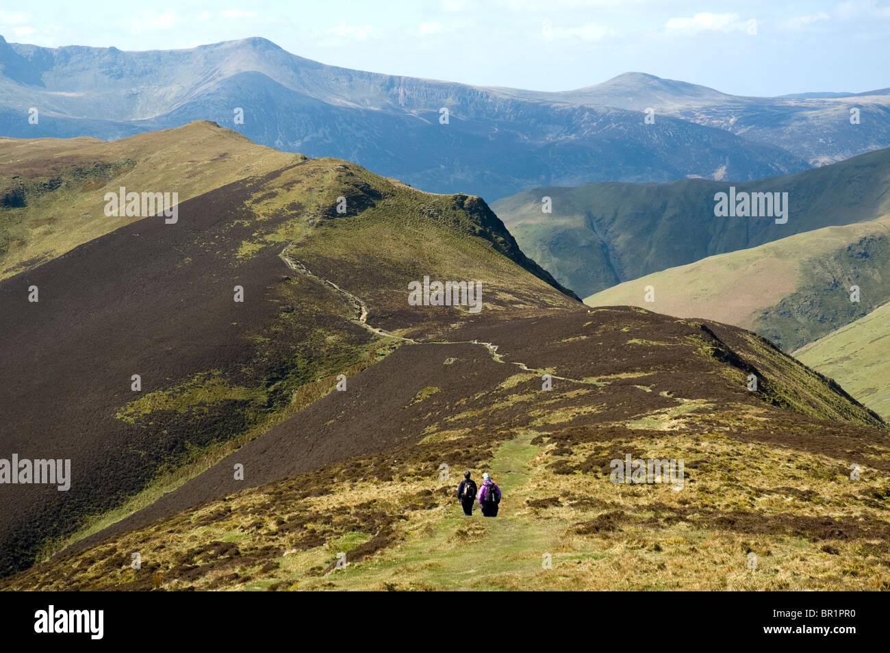 Hill walkers on the ridge of Ard Crags, Derwent Fells, near Keswick ...