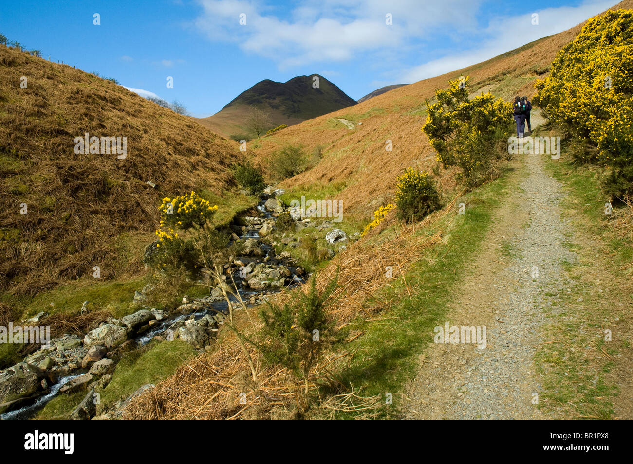 Ard Crags from Rigg Beck, Derwent Fells, near Keswick, Lake District ...