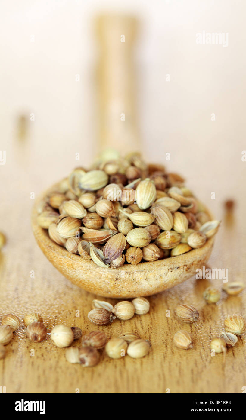 Pile coriander seeds coriandrum hi-res stock photography and images - Alamy