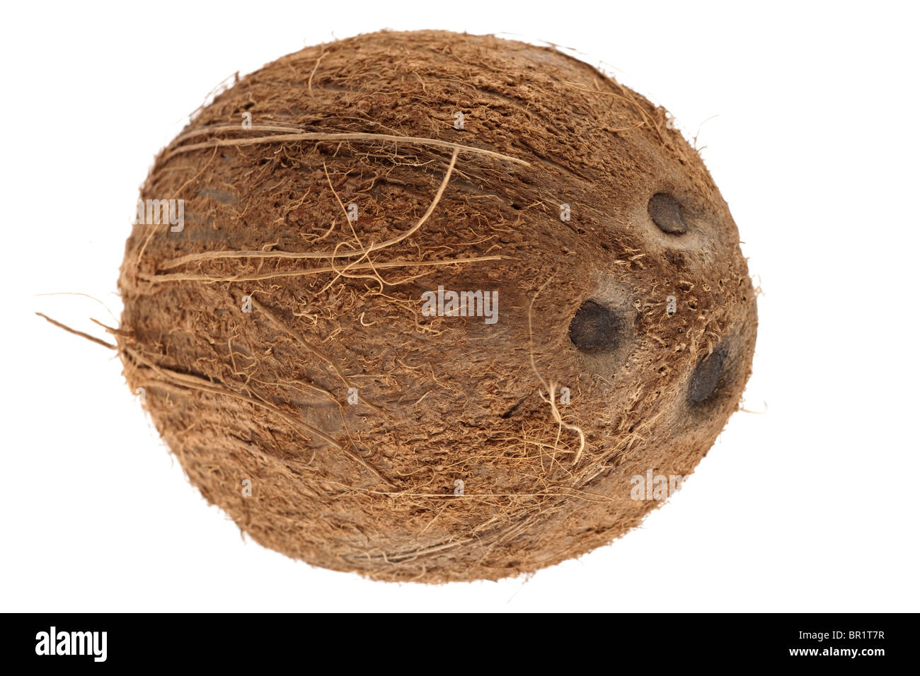 Whole coconut hi-res stock photography and images - Alamy