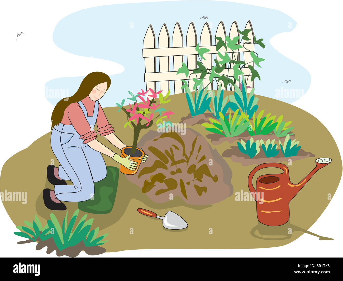 Drawing Planting Stock Photos & Drawing Planting Stock Images - Alamy