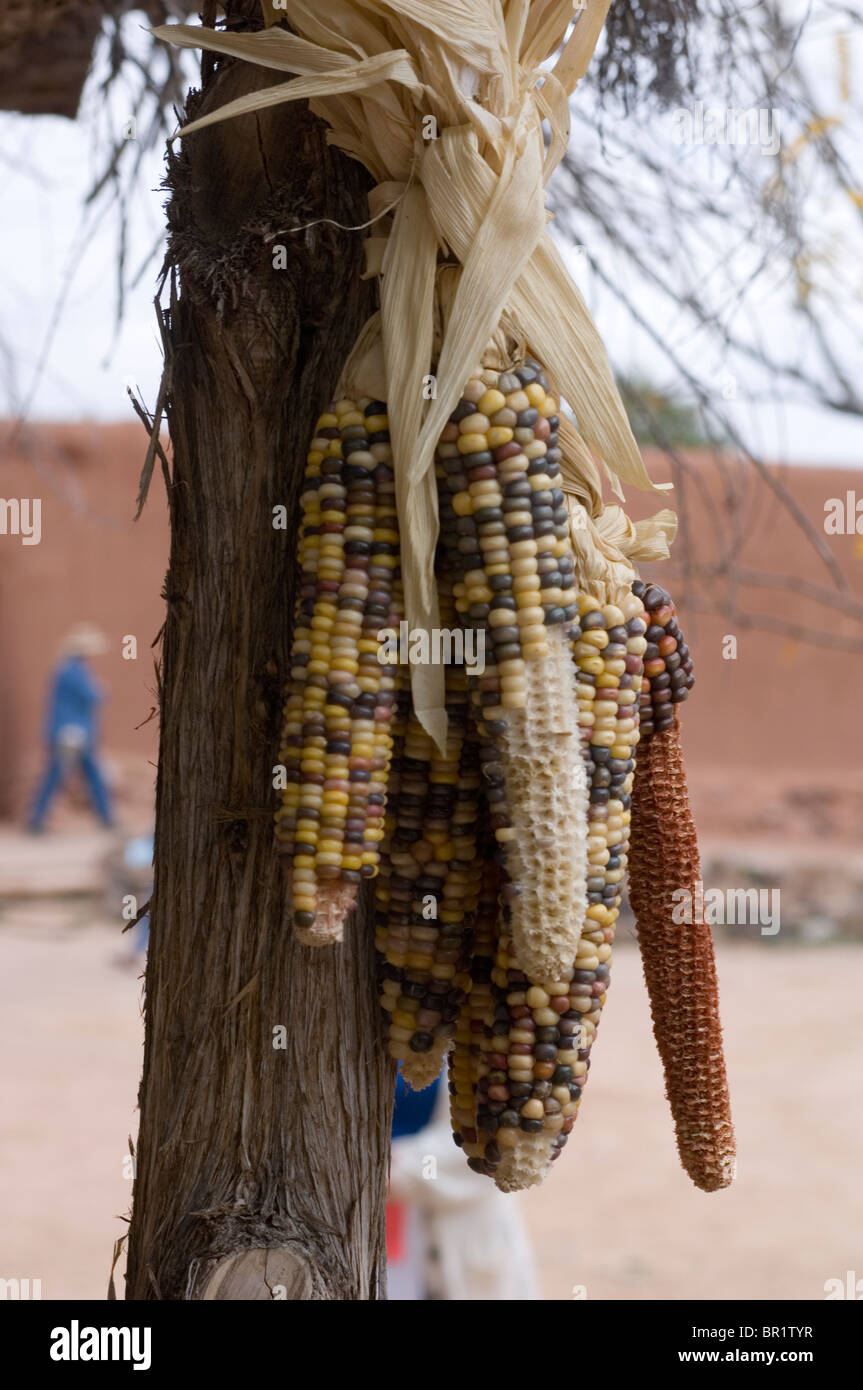Indian corn museum hi-res stock photography and images - Alamy