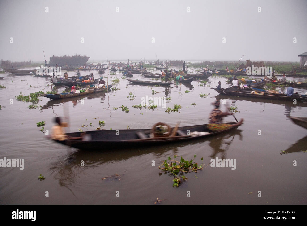 Completely color hi-res stock photography and images - Alamy