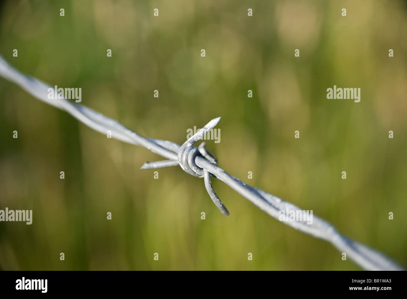 Barbed wire hi-res stock photography and images - Alamy