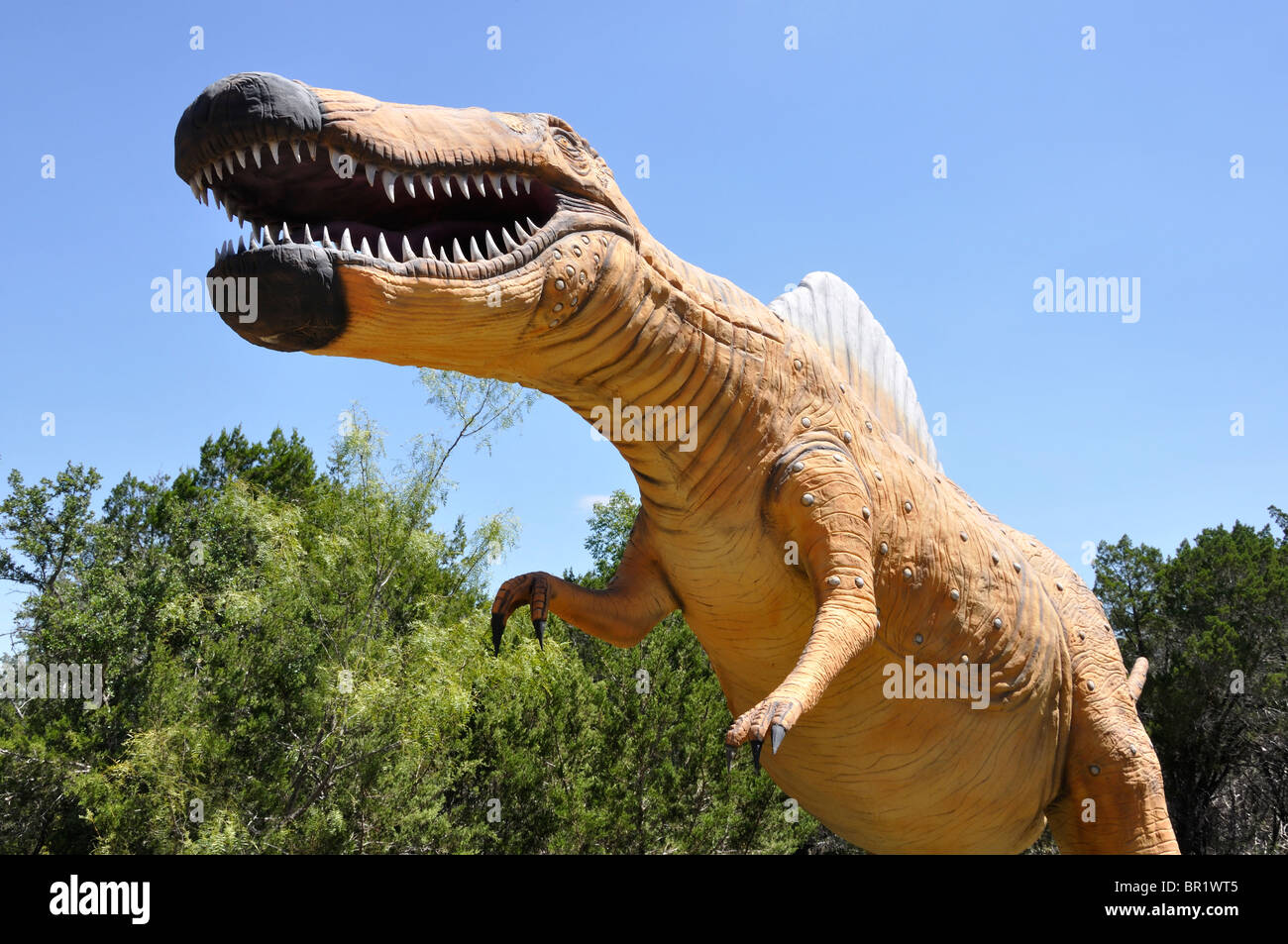Spinosaurus, Dinosaur World, Glen Rose, Texas, USA Stock Photo - Alamy