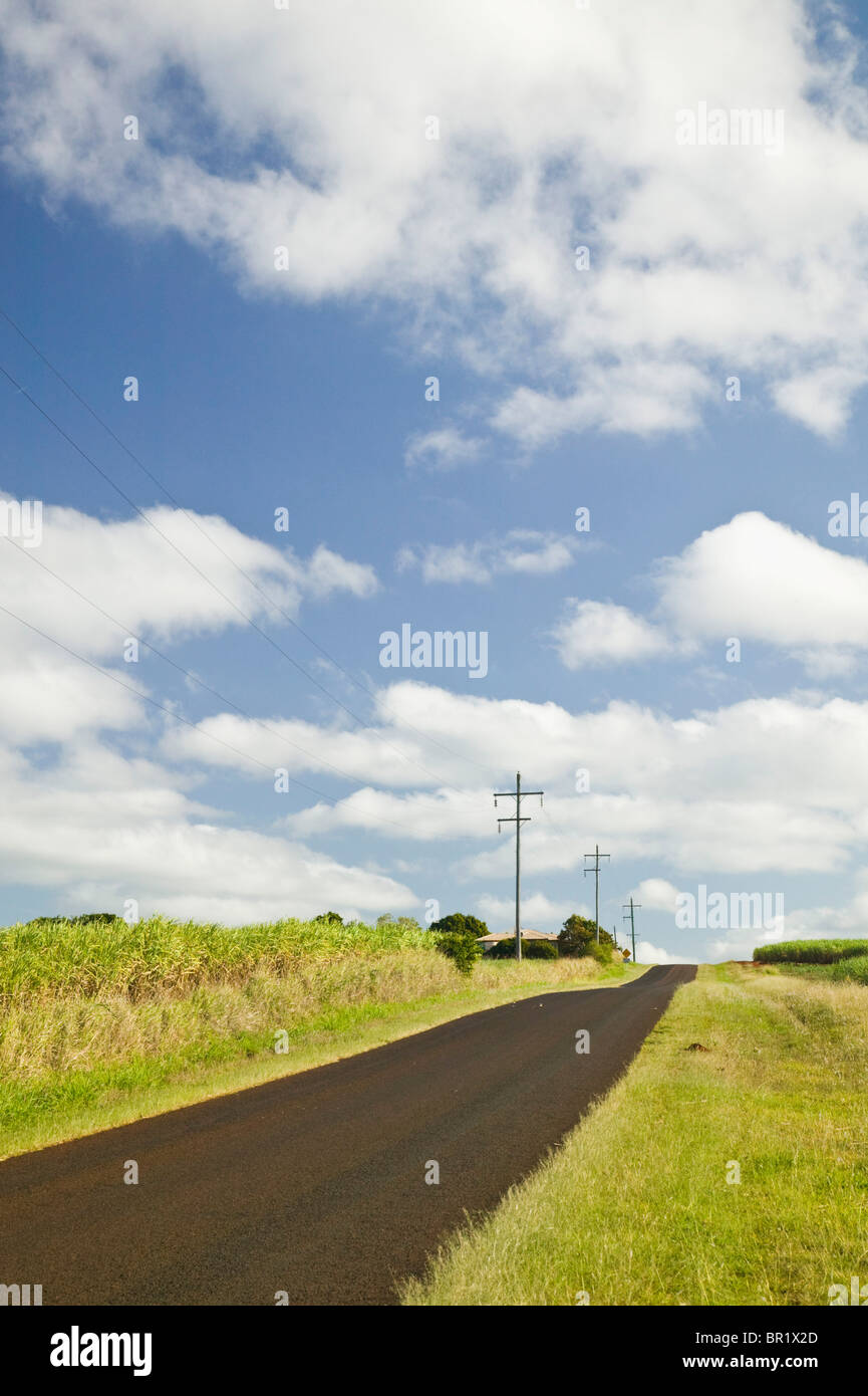 Australia, Queensland, Fraser Coast, Childers. Sugar Cane Field Road ...