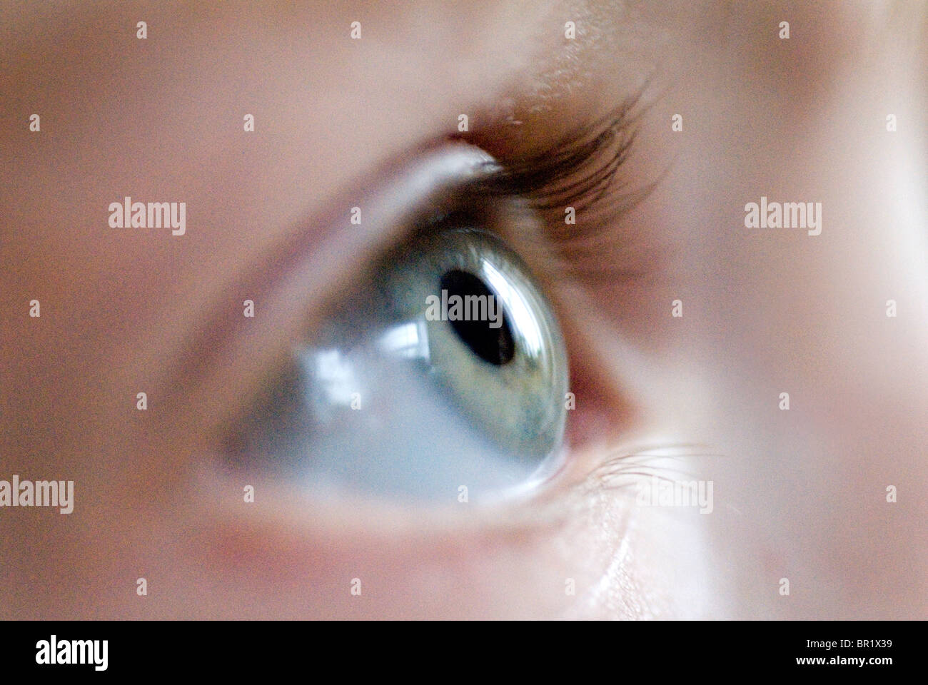 Detail of an eye. (intentional grain Stock Photo - Alamy