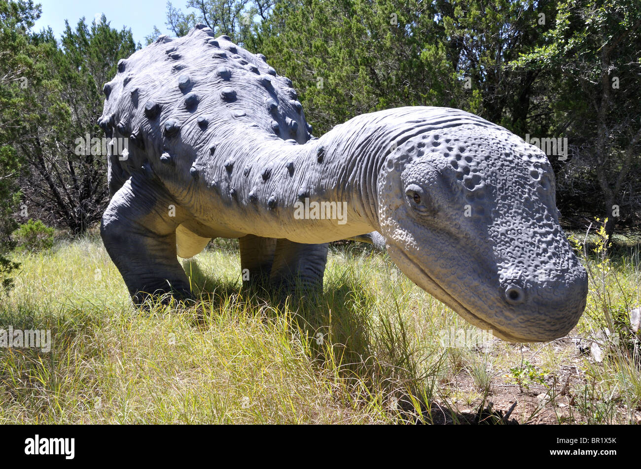 Saltasaurus, Dinosaur World, Glen Rose, Texas, USA Stock Photo - Alamy