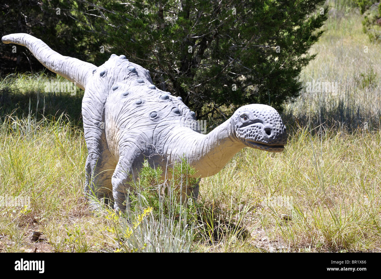Saltasaurus, Dinosaur World, Glen Rose, Texas, USA Stock Photo - Alamy
