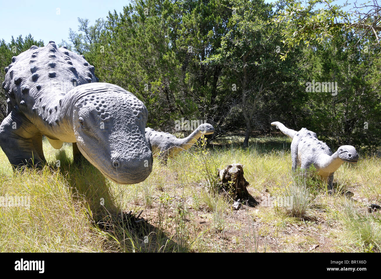 Saltasaurus, Dinosaur World, Glen Rose, Texas, USA Stock Photo - Alamy