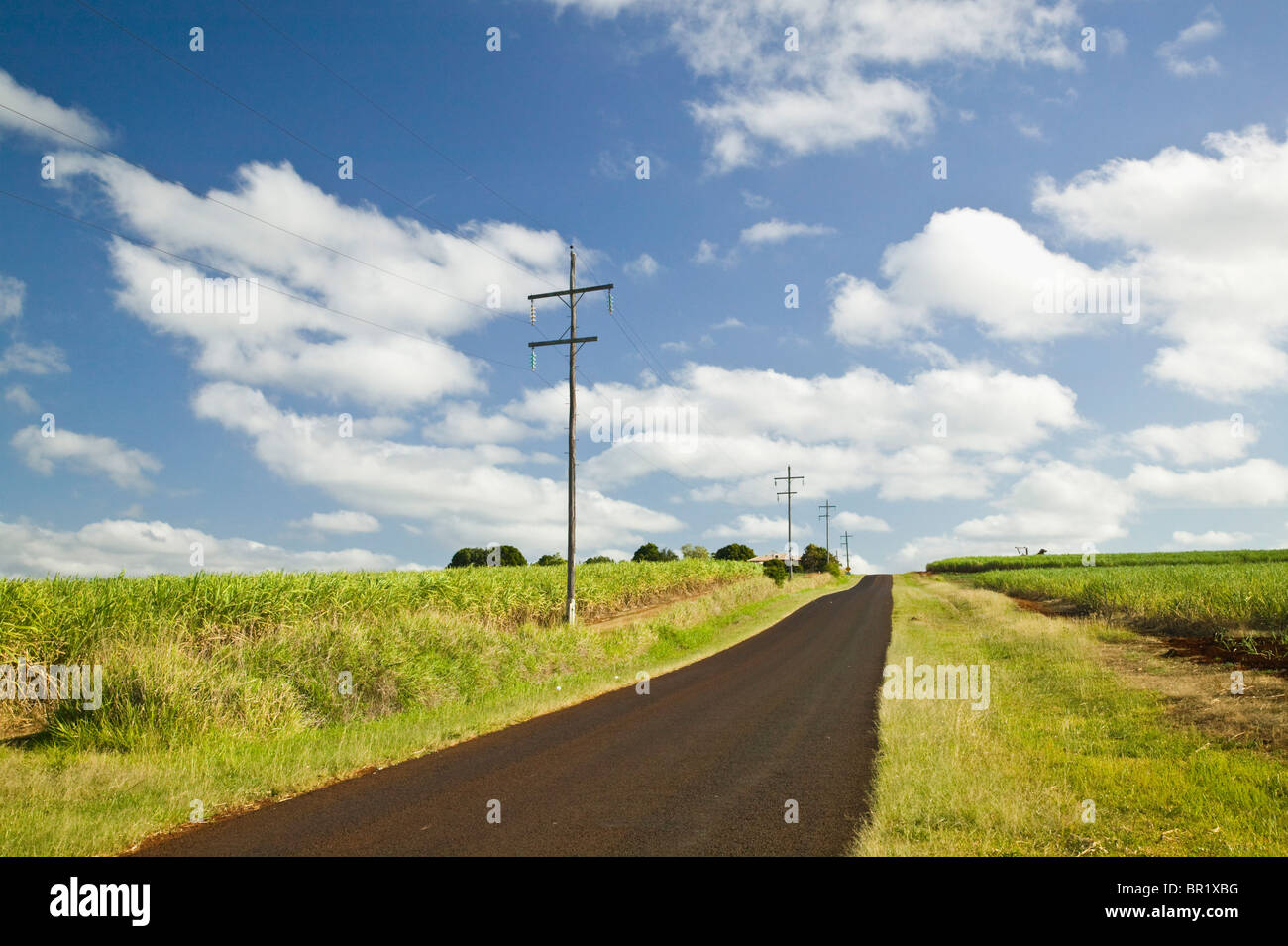 Australia, Queensland, Fraser Coast, Childers. Sugar Cane Field Road ...