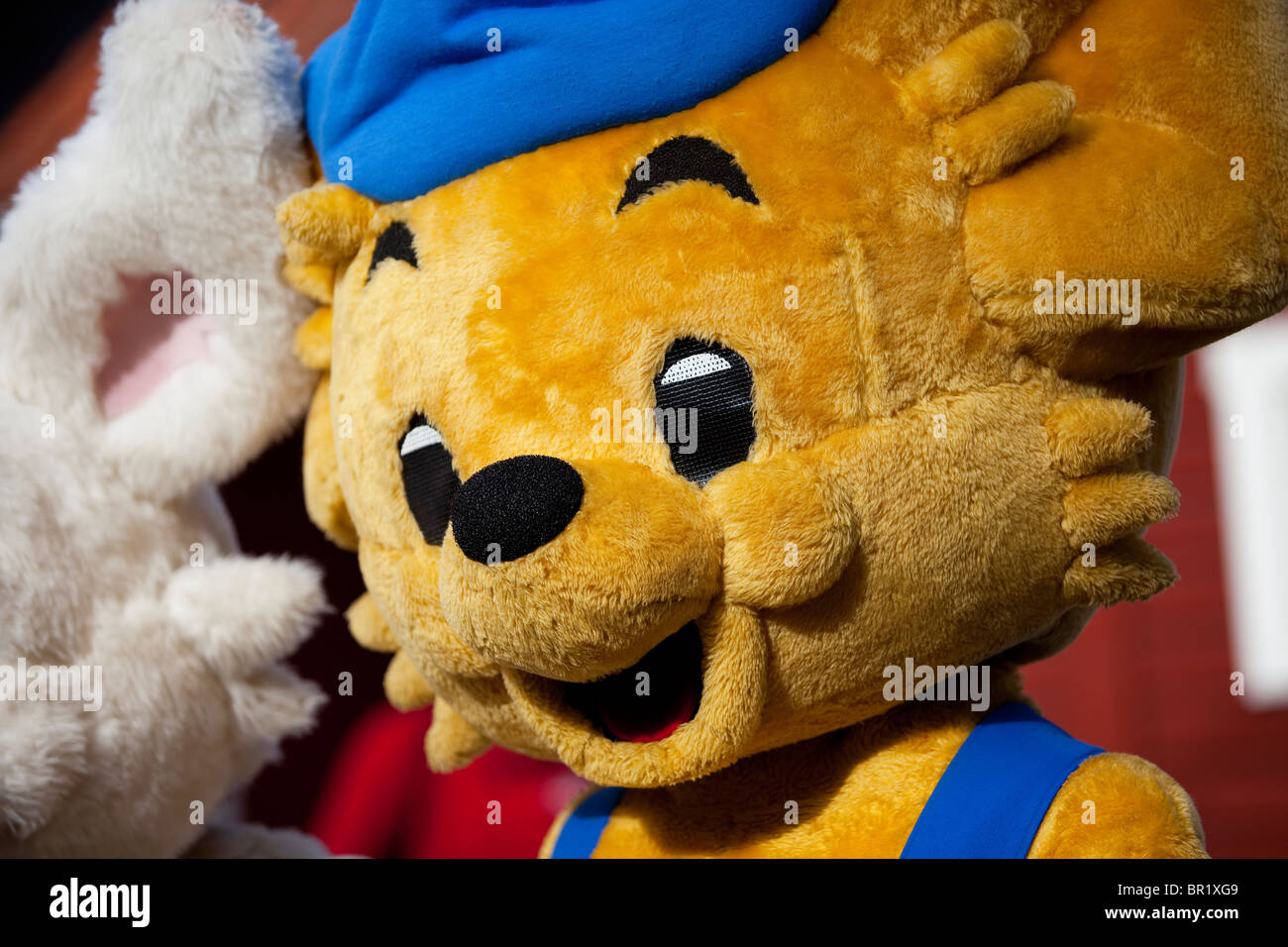 The world's strongest bear Stock Photo - Alamy