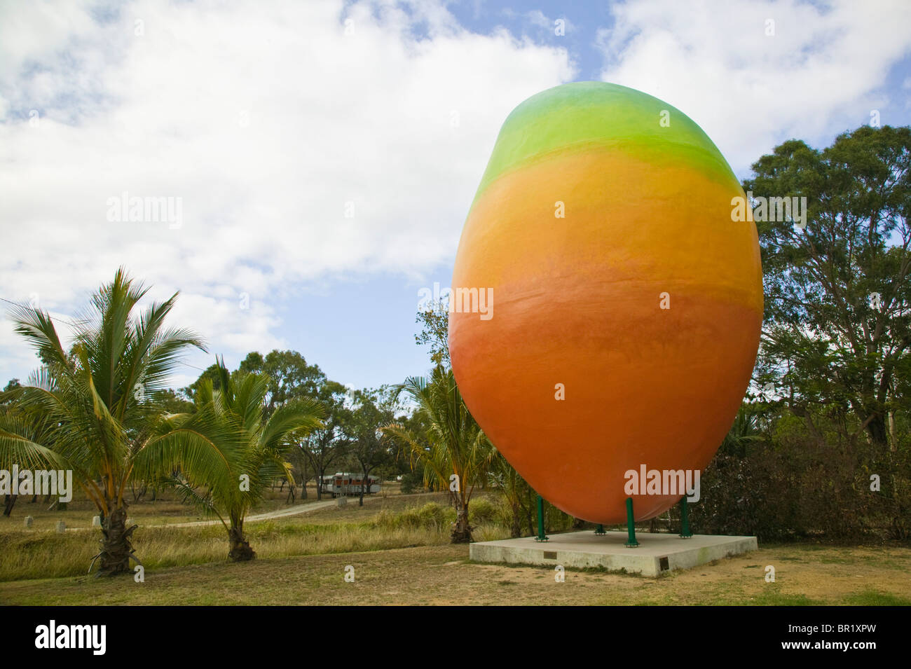 Australia queensland mango hi-res stock photography and images - Alamy